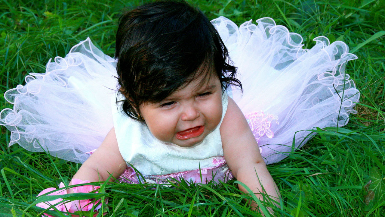 Numbers 11 – Let's Make Disciples